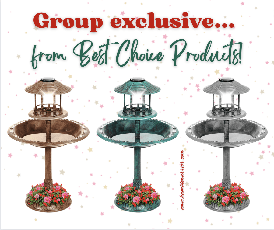 Group Exclusive from BCP! - Home of The Humble Warrior