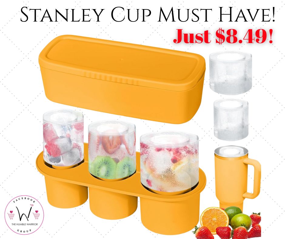 Stanley Cup Ice cubes - Home of The Humble Warrior