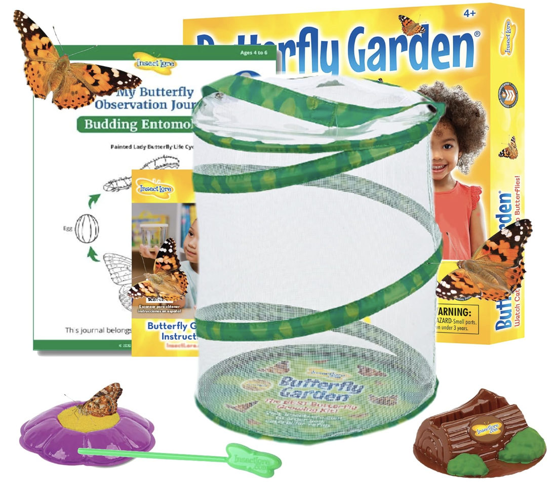 Insect Lore Butterfly Garden Kit, - Home of The Humble Warrior
