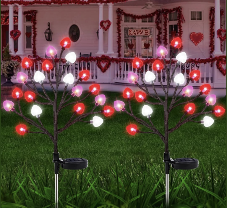 2 Pack Valentine’s Day Solar Outdoor Lights - Home of The Humble Warrior